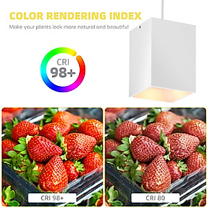 Bstrip Hanging Grow Light, 3000K Full Spectrum Hanging Grow Lights for Indoor Plants, 30W Plant Light Bulbs with 16.4FT Power Cord, Plant Light for Indoor Plant with Timer for Garden, Greenhouse