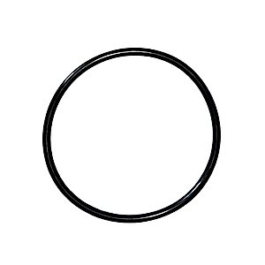 350013 O-Ring For WhisperFlo and IntelliFlo Pump Trap Lid (1/Pack)