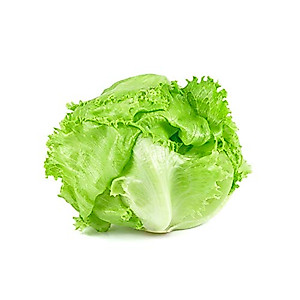 Iceberg Lettuce Seeds for Planting Home Garden Outdoors.