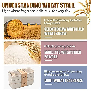 Rarapop 2 Pack Stackable Bento Box Japanese Lunch Box Kit with Spoon & Fork, 3-In-1 Compartment Wheat Straw Meal Prep Containers for Kids & Adults (Pink/Beige)