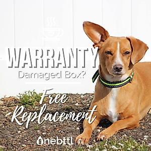 Onebttl Dog Mom Gifts, Dog Lover Gifts for Women, Best Dog Mom Ever, 20 oz Glitter Silver-Gold Insulated Tumbler - Chiweenie Mom