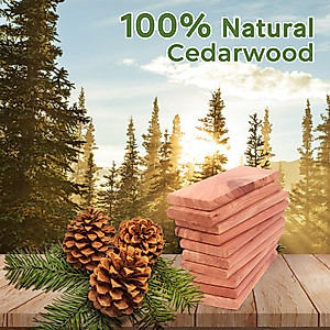 Tupetcs 10 Pcs Cedar Blocks for Clothes Storage, Cedar Planks for Closets and Drawers, Aromatic Cedar Wood Hang Ups with Sandpaper-Clothes Storage Freshener