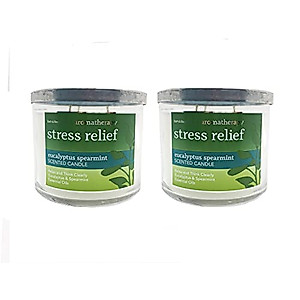 Bath and Body Works Aromatherapy 3 Wick Candle, 14.5 Oz, Eucalyptus Spearmint (2 Pack)