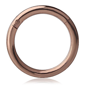 Ruifan 1PC Stainless Steel Hinged Seamless Segment Hoop Septum Clicker Ring Lip Helix Tragus Cartilage Earrings Nose Rings Pirecing 14g 8mm Rose Gold