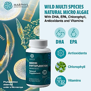 MARPHYL Marine Phytoplankton Wild Multi Species Natural Supplement - 150 mg per capsule - organic - 30 vegan capsules - from Vancouver Island, Canada