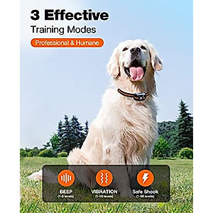 Bousnic Dog Shock Collar - 3300Ft Dog Training Collar with Remote for 5-120lbs Small Medium Large Dogs Rechargeable Waterproof e Collar with Beep(1-8), Vibration(1-16), Safe Shock(1-99) (Orange)