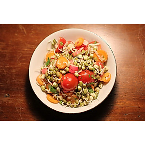 Whole dried Mung Beans aka 'Green Gram' 'Maash' 'Moong' Prewashed Clean Ready to Cook non GMO (Natural, 10 Pound)