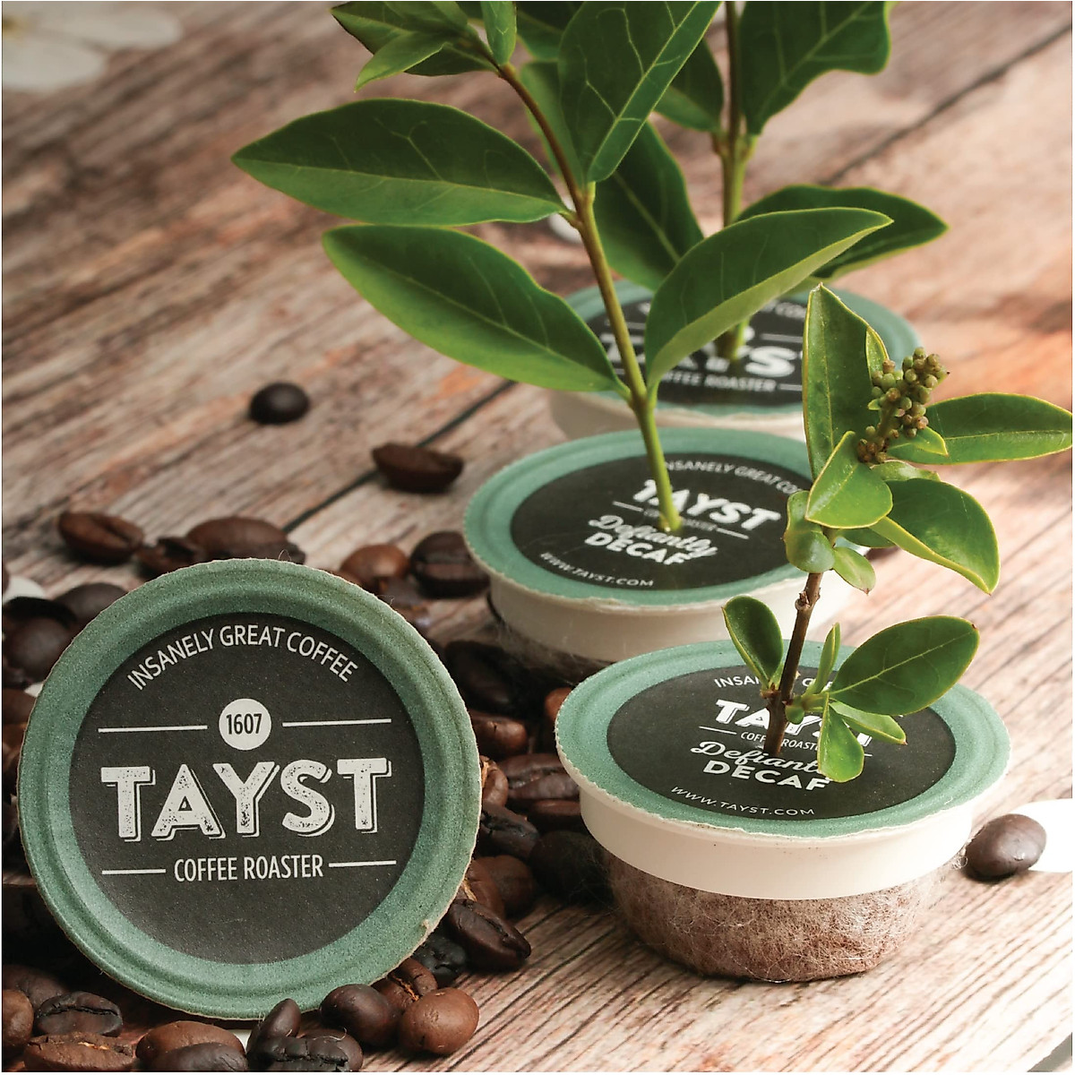 Tayst Coffee Pods, Bold & Brazen Dark Roast, K Cups Compatible with Keurig Coffee Maker, Sustainable Single Serve, Pack of 50