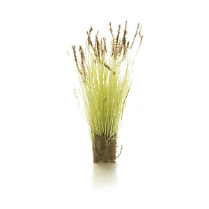 Woodland Scenics G6633 Cattails Tufts