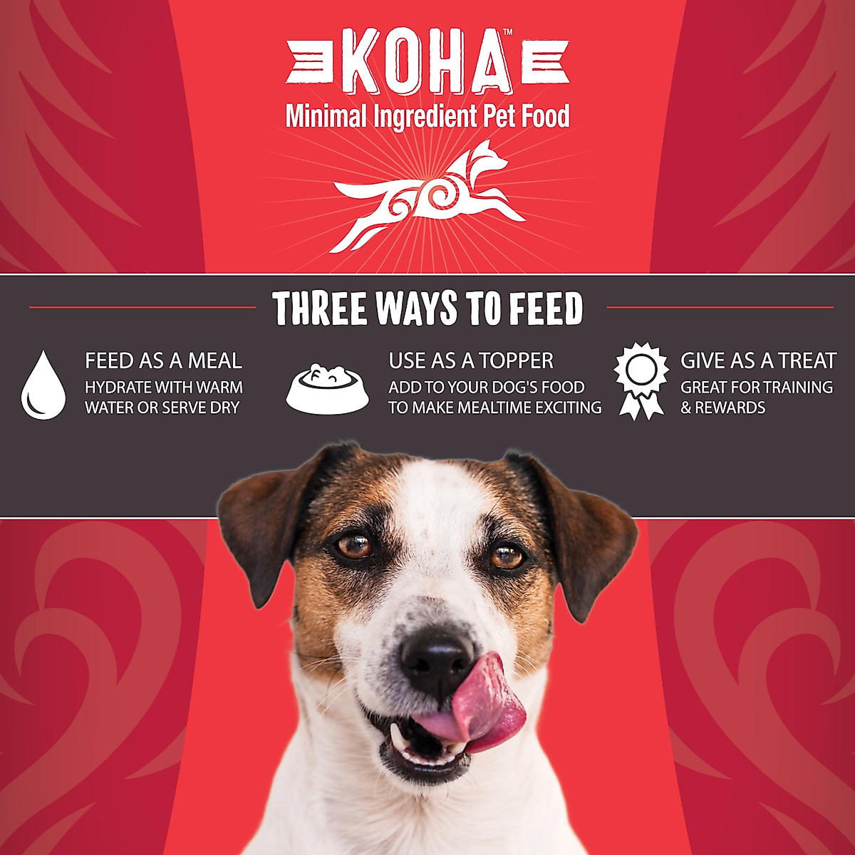 KOHA Raw Life Freeze-Dried Raw Bites Beef for Dogs, High Protein Meal, Topper, and Treat for Picky Eaters, 14oz Bag