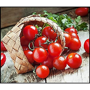 Dwarf Bush Cherry Tomato Seeds for Planting - 100+ Seeds - Amazing Taste - Great for Salads - Made in USA. Ships from Iowa. Dwarf Fruit Seeds