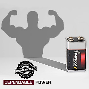 Impecca 9 Volt Batteries, Premium Alkaline (24-Pack) High Performance, Ultra Long Lasting, and Leak-Resistant All-Purpose 9V, 24 Count, 6LR61 - Platinum Series