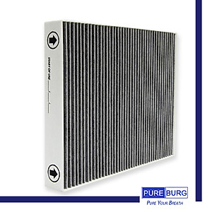 PUREBURG Replacement High-efficiency HEPA Filters Compatible with Stadler Form Roger Air Purifier, R-113, Activated carbon 2-IN-1 Air Clean Dust VOCs,2-Pack