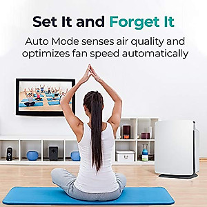 Alen FIT50 HEPA Air Purifier - Medical Grade Filtration H13 True HEPA for 900 SqFt - 99.9% Airborne Particle Removal- Allergens, Dust, Mold, Germs - Oak