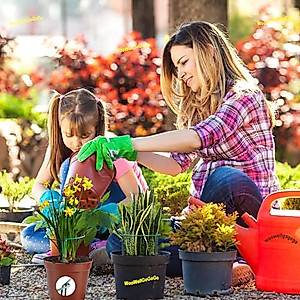 4 Pack Plant Support Stake Kit - Strong, Rust-Proof, and Durable Plant Cage, Hydrangea Support Cage, Peony Support, Peony Cage, Plant Support Cage, and Plant Stake for Indoor and Outdoor Plants