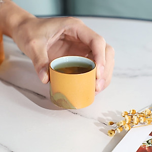 Evannt Ceramic Tea Cups Chinese Tea Cup Set of 3 Small Japanese Tea Cups Porcelain Sake Cup Kung Fu Tea Set Retro Style (Style 1#)