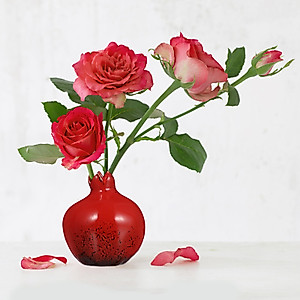 Cabilock Ceramic Flower Vase Red Pomegranate Vase Decoration Small Desktop Art Craft Ornament for Home Living Room Desk TV Cabinet Decoration