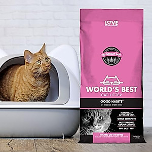 WORLD'S BEST CAT LITTER Good Habits Cat Attract Litter | Natural Plant-Based Attractant | Multicat Flushable Corn Litter | Unscented Odor Control | Low Tracking & Lightweight | Made in USA 15lb Bag
