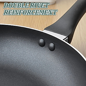 Eterish Nonstick Frying Pan Skillet 9.4 Inch - Induction Bottom - Aluminum Alloy and Scratch Resistant Body Omelette Pan- Riveted Handle, Non Stick Skillet Pan,PFOA Free