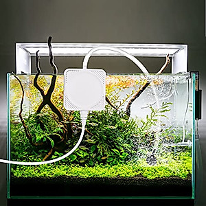 BinChang Mini Air Pump for Fish Tank, Quiet Aquarium Air Pump 1 Watt Energy Saving with Accessories 1-15 Gallon