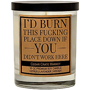 I'd Burn This Place Down If You Didn't Work Here - Funny Candles for Women, Men - Thank You Candle, Funny Work Gifts, Funny Going Away Gift for Coworker, Work Bestie Gifts, Funny Candle for Women