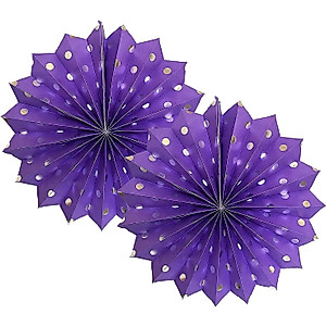 40th Birthday Party Decorations for Women Purple Silver Happy Birthday Banner Latex Balloons 40th Birthday Party Supplies/Purple 40th Birthday Decorations for Women