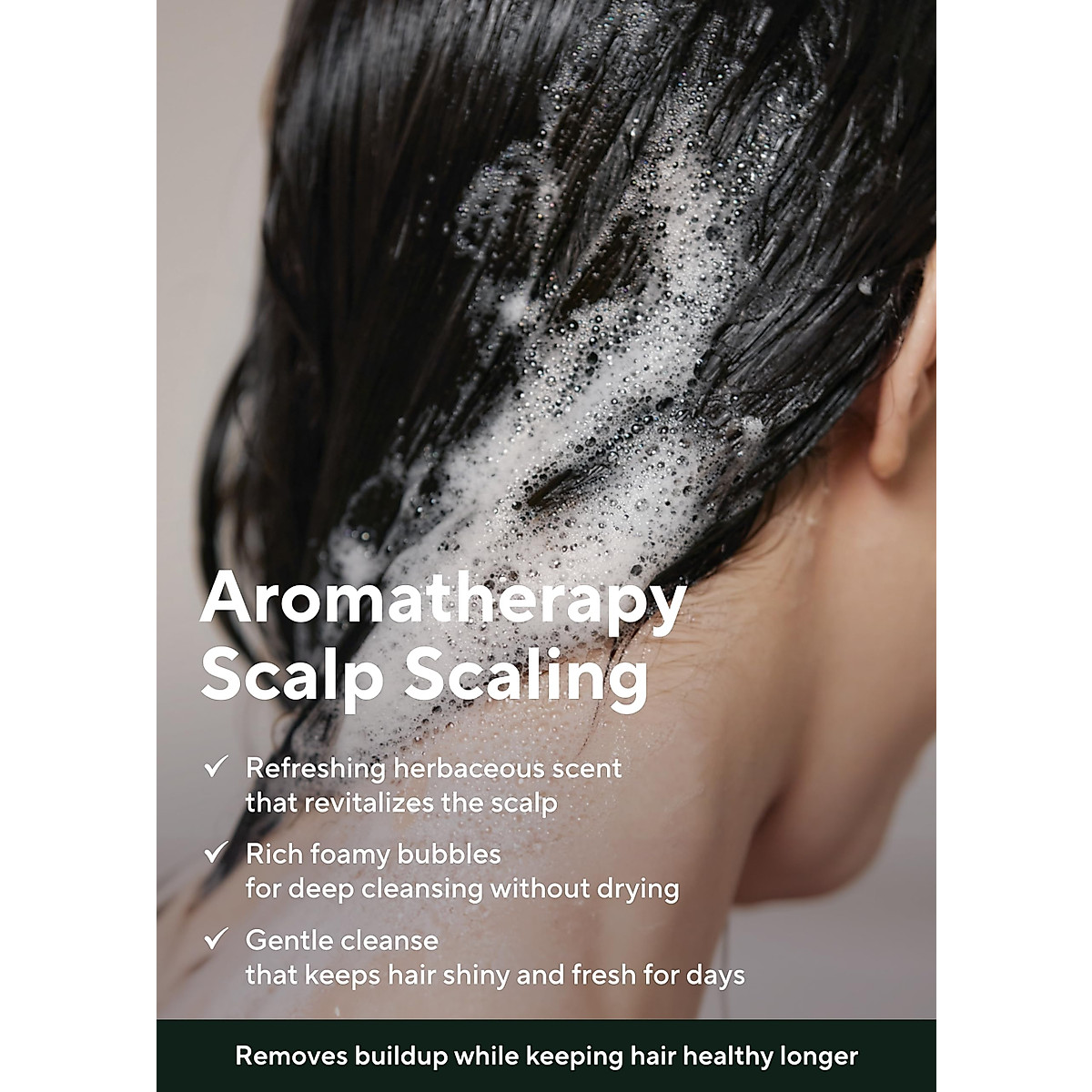 AROMATICA Tea Tree Purifying Shampoo 13.53fl.oz./400ml, Tea Tree Shampoo for Oily Hair and Scalp, Sulfate Free, Vegan