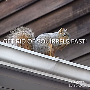 Lakota Naturals Coyote Urine All Natural Animal & Rodent Repellent - Makes It Seem Like a Coyote is Nearby!