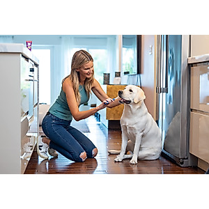 Dental Fresh Enzymatic Gel Dog Tooth Brushing Kit, Includes Triflex Toothbrush – Dog Toothbrush and Toothpaste for Dog Teeth Cleaning