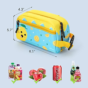 AIEVE Freezable Snack Bag, Small Cooler BagsSnack Box Container for Travel Lunch (with 4pcs Popsicle Bag)