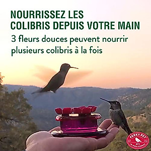 Perky-Pet 9100 Handheld & Tabletop Hummingbird Feeder