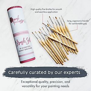 Pink Picasso Kits Curated Paint Brush Set | Paint by Numbers for Adults and Kids Art Canvas Professional Acrylic Painting Brush Kit | Includes (15 PCS) Different Sizes Detail Paint Brushes with Case