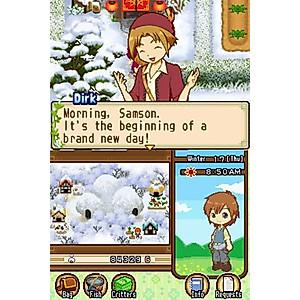 Harvest Moon: Tale of Two Towns - Nintendo DS