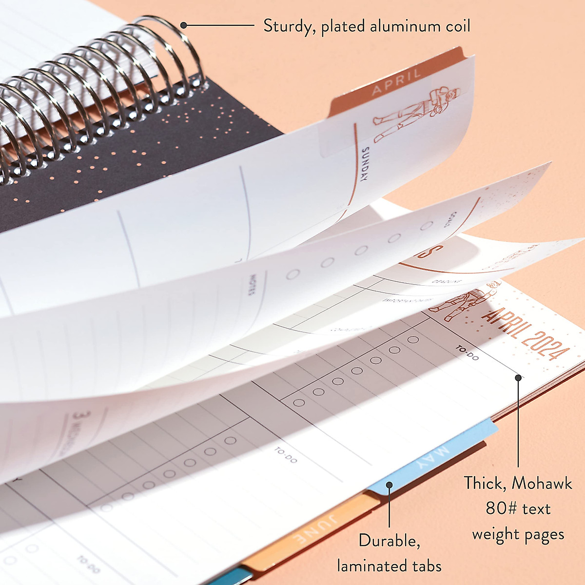 Erin Condren 7x9 Coiled Academic Planner (July 2024 - June 2025) - Watercolor Leia Cover, Star Wars Theme, Platinum Coil