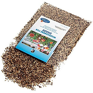 Partial Shade Wildflower Seeds Bulk - Open-Pollinated Wildflower Seed Mix Packet, No Fillers, Annual, Perennial Wildflower Seeds Year Round Planting - 4 oz