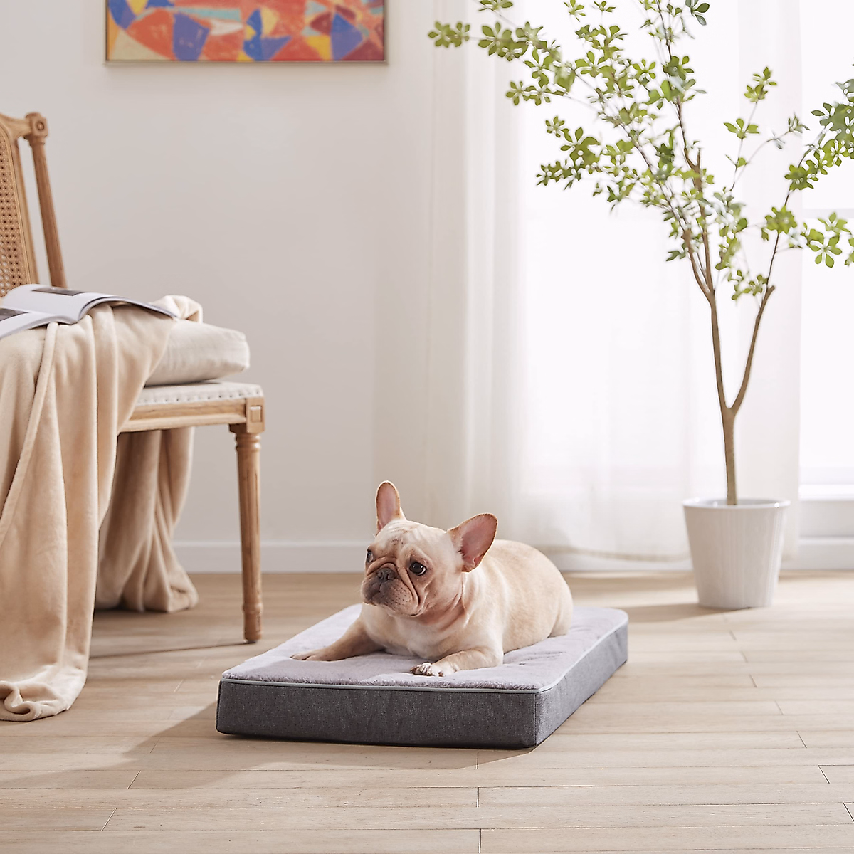 GOHOO PET Orthopedic Memory Foam Dog Bed, Dog Crate Bed for Medium Dogs -Waterproof Pet Bed with Removable Washable Cover, Purple Rabbit Plush Surface, M(29inch,45Lbs)