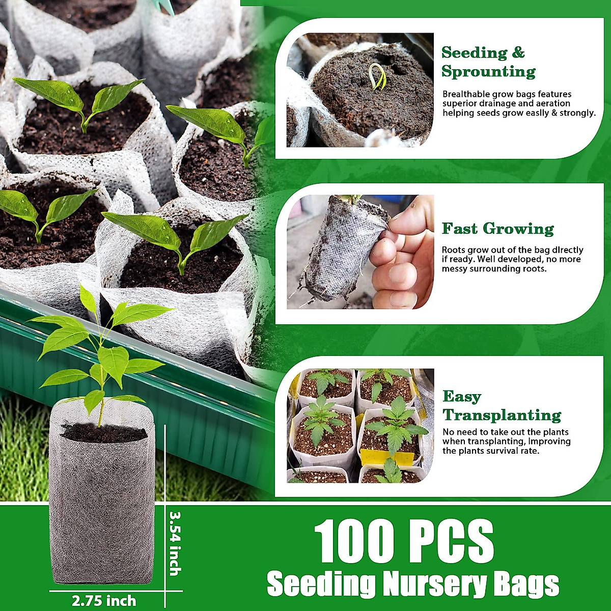 MQFORU 2 Pack Seed Starter Trays with Grow Light, 80 Cell Seed Starter Kit with Timer, Adjustable Domes, Plant Starter Trays Kit for Propagation, Cloning Plants, Seed Germination