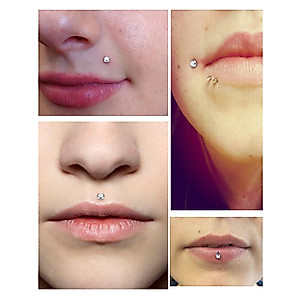 20G Threadless Push in Lip Rings Stainless Surgical Steel Labret Jewelry Monroe Lip Rings Nail Cartilage Tragus Helix Earrings Studs Nose Ring Medusa Piercing Jewelry For Women Men 6MM 20 Gauge 2MM