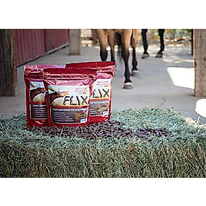 Flix 9 lb, 100% Flaxseed Healthy Treats for Horses, High in Omega-3