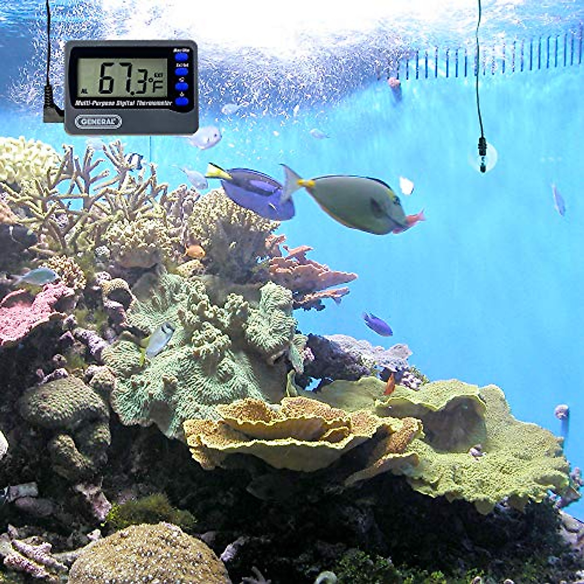 General Tools AQ150 In and Out Aquarium Thermometer with Waterproof Probe