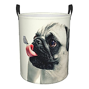 FeHuew Funny Chubby Pug Dog Collapsible Laundry Basket with Handle Waterproof Fabric Hamper Laundry Storage Baskets Organizer Large Bins for Dirty Clothes,toys,Bathroom