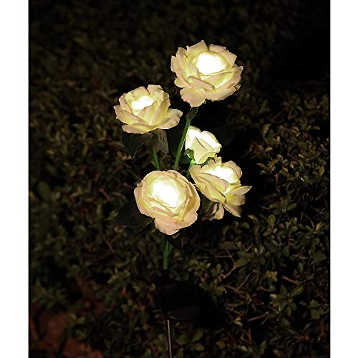 HDNICEZM Solar Garden Lights Outdoor Decorative - 2 Pack Upgraded Realistic 5 Rose Flowers Lights LED Solar Stake Lights Waterproof for Garden Backyard Patio Pathway Courtyard Decoration (White)