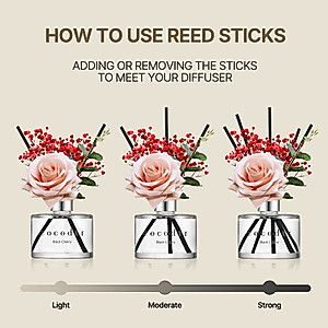 COCODOR Rose Reed Diffuser set / 6.7oz / Rose Perfume/Scent Diffuser with Sticks Home Fragrance Reed Diffuser for Bathroom Shelf Decor