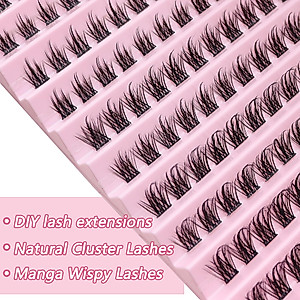 Losha Lash Clusters Wispy DIY Lash Extension 8-16mm Eyelash Clusters 110pcs Natural Cluster Lashes at Home D Curl Fluffy Eyelash Extensions (Fairy)
