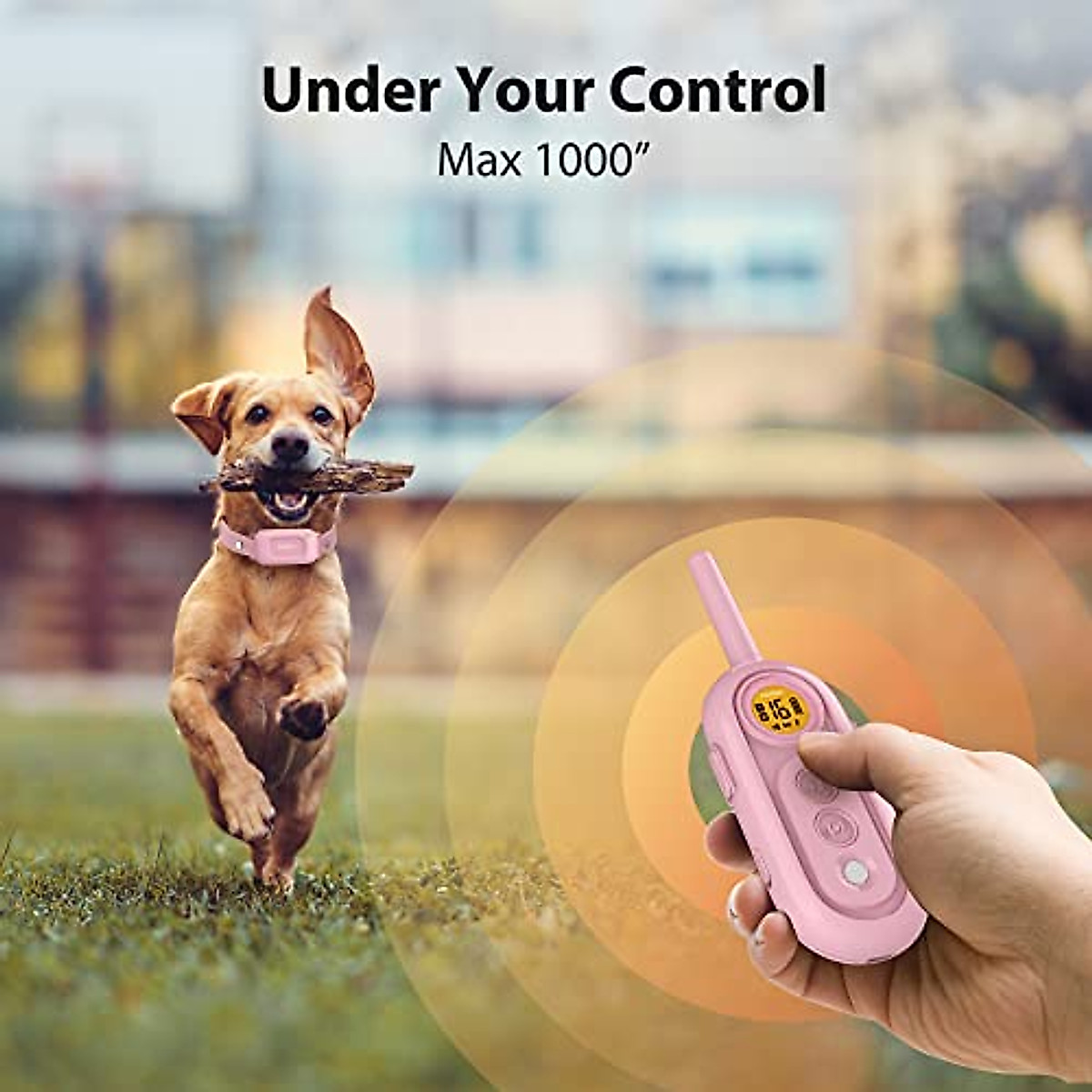 PATPET Dog Shock Collar for Medium Dogs- Dog Training Collar with Remote, Shock Collar for Small Dogs 10-100lbs, Rechargeable IPX7 Waterproof with Beep Vibration Shock Modes