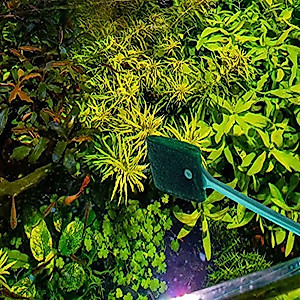 AOODOOM 3 PCS Double-Sided Aquarium Fish Tank Algae Cleaning Brush with Non-Slip Handle, Sponge Scrubber Cleaner for Glass Aquariums and Home Kitchen