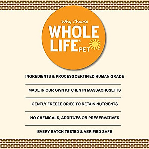 Whole Life Pet Just One Salmon - Cat Treat Or Topper - Human Grade, Freeze Dried, One Ingredient - Protein Rich, Grain Free, Made in The USA