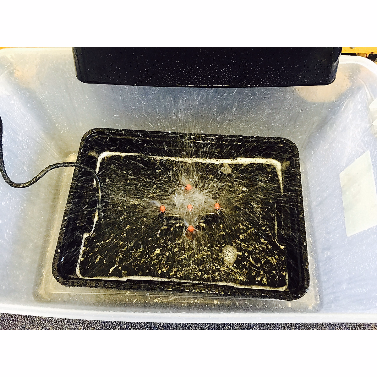 Viagrow® VCLN24 Clone Machine 24 Site Aeroponic Hydroponic System ...