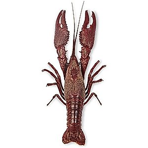 Carolina's Perfect Solution Crayfish, 4"+, Single Injection, Bulk Bag of 10