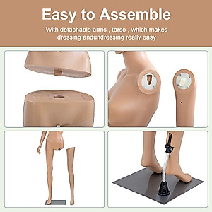 FLL Mannequin Torso, Clothing Form Full Body Manikin Female 69 inch Adjustable Detachable Stand Realistic Display with Metal Base Plastic Head Arm Turns Stand, Beige (FLL-01)